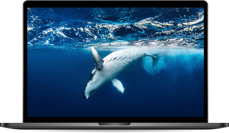 Organizza desktop gratis e in automatico con iTop Easy Desktop